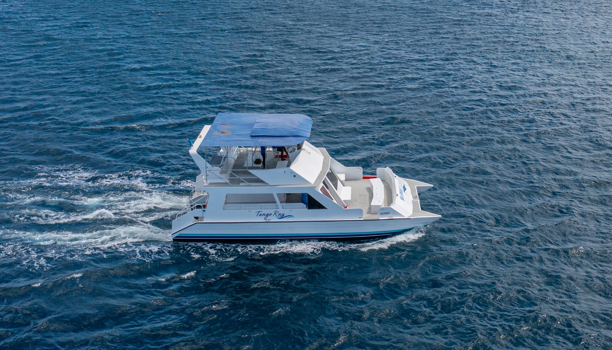 Private Charter - Tango Ray | Sea Spray Cruises